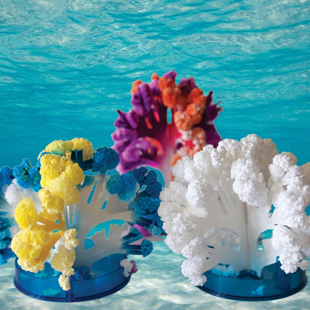 Crystal Growing Coral Reef – Copernicus Toys